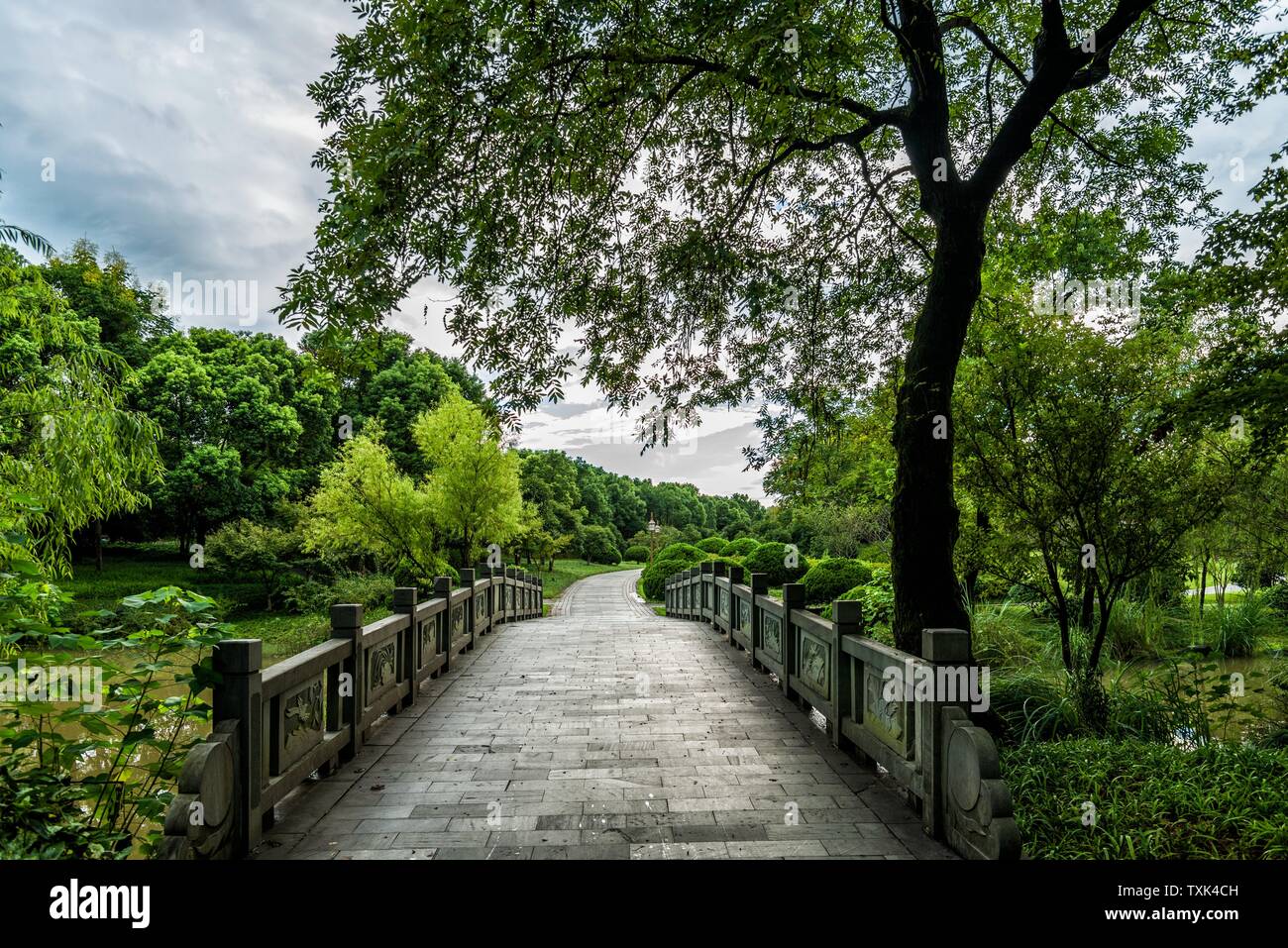 Road landscape with no one tree guide hi-res stock photography and ...