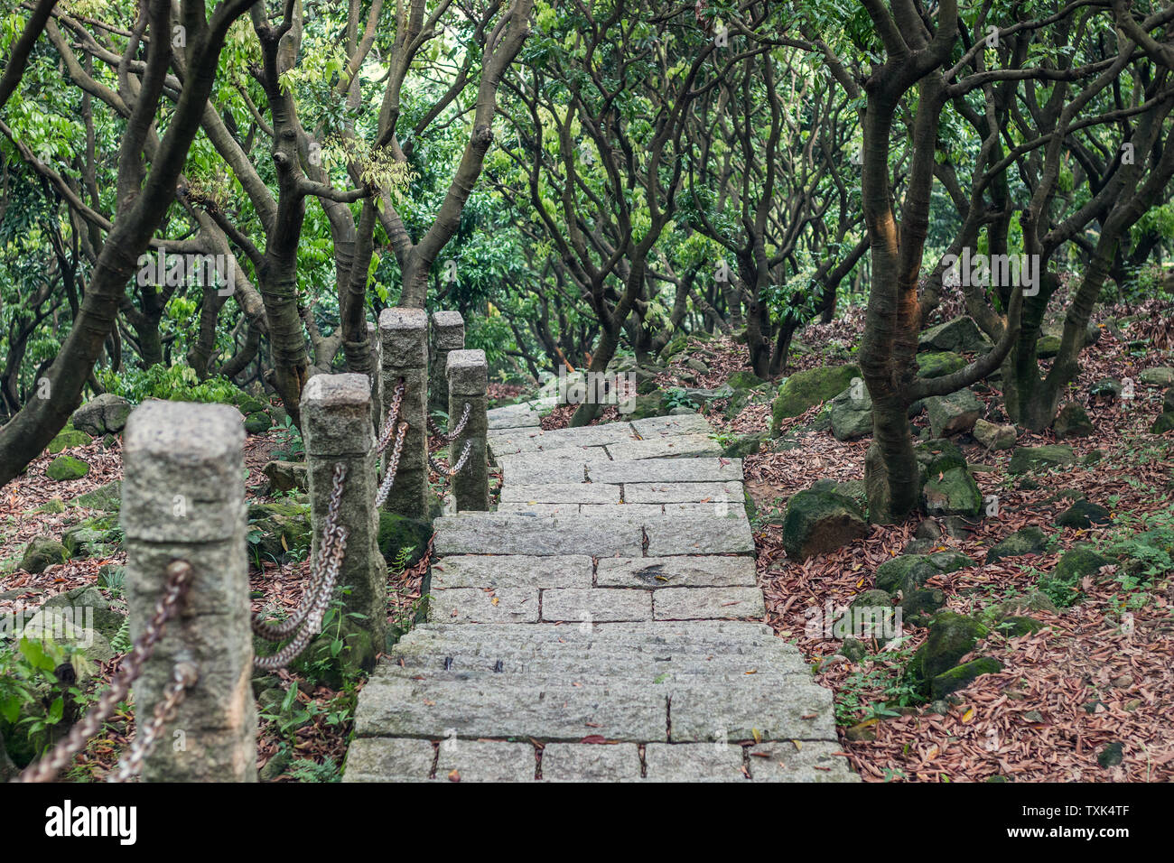 Bluestone road hi-res stock photography and images - Alamy