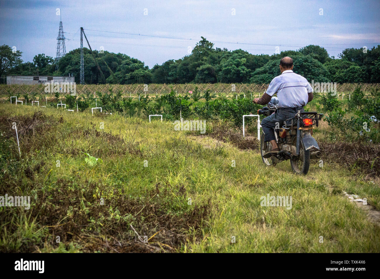 A farmer on a motorcycle Stock Photo - Alamy