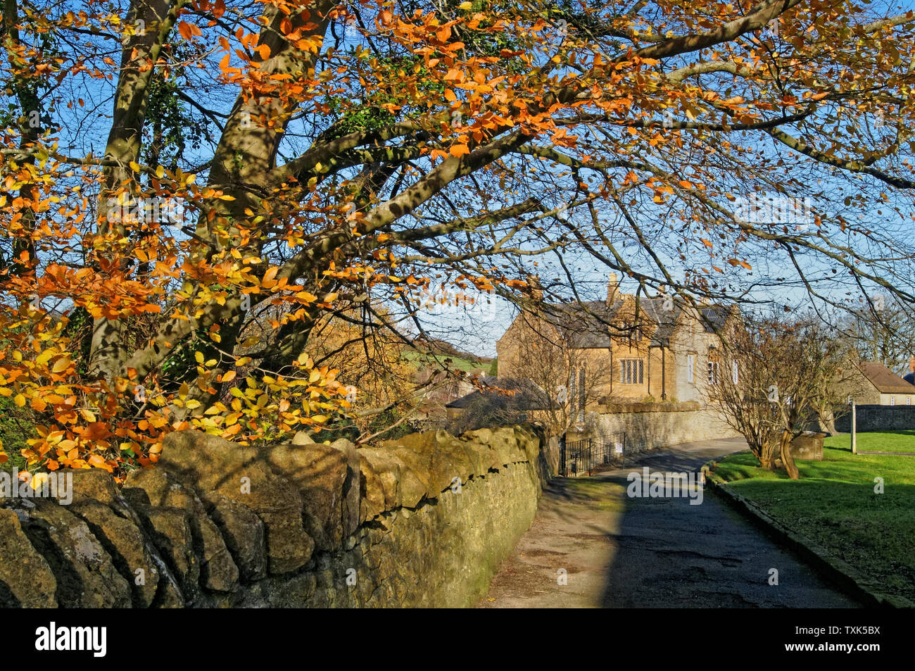 The abbey crewkerne hi-res stock photography and images - Alamy