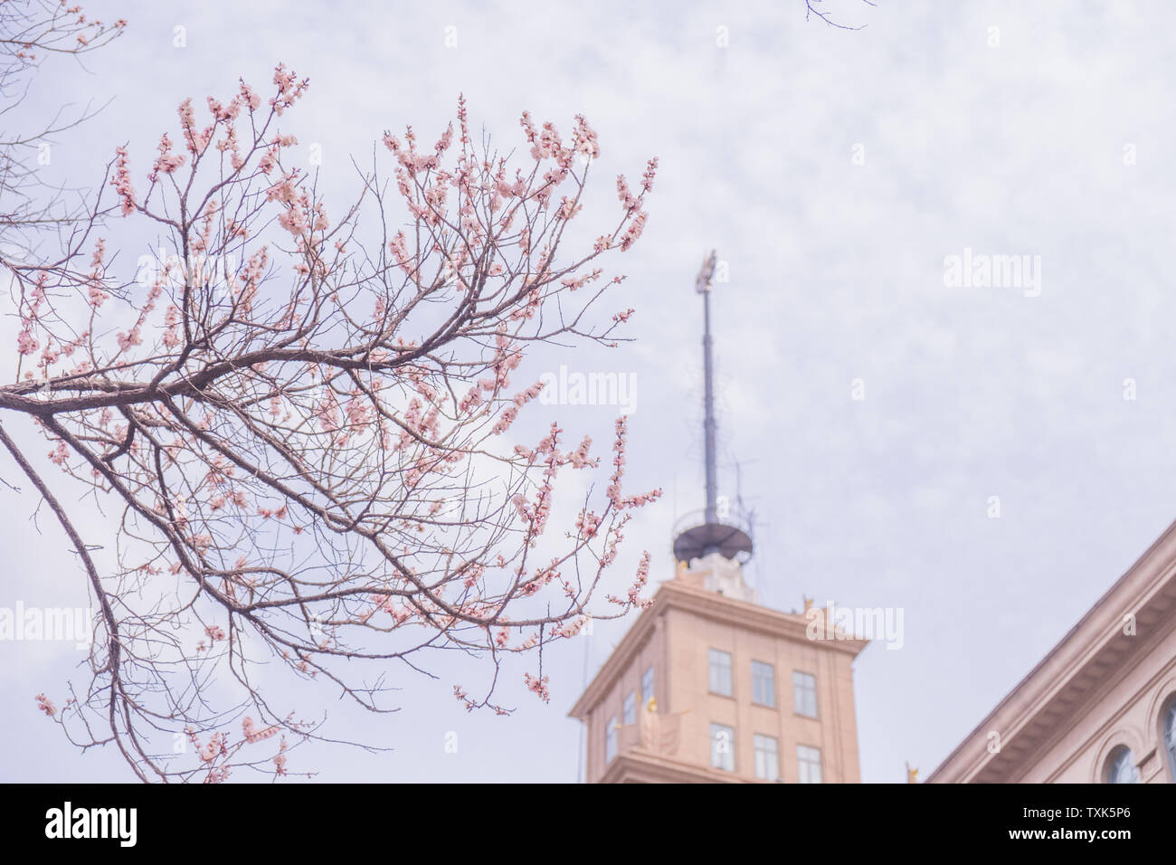 Harbin university hi-res stock photography and images - Alamy