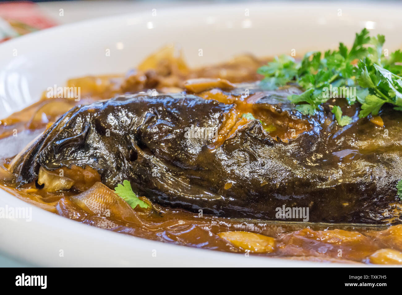 Fat head fish hi-res stock photography and images - Alamy