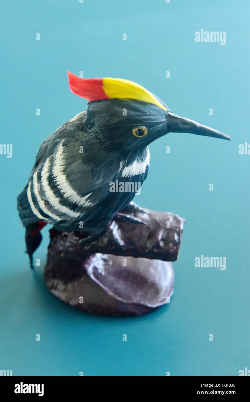 Kingfisher craft hi-res stock photography and images - Alamy