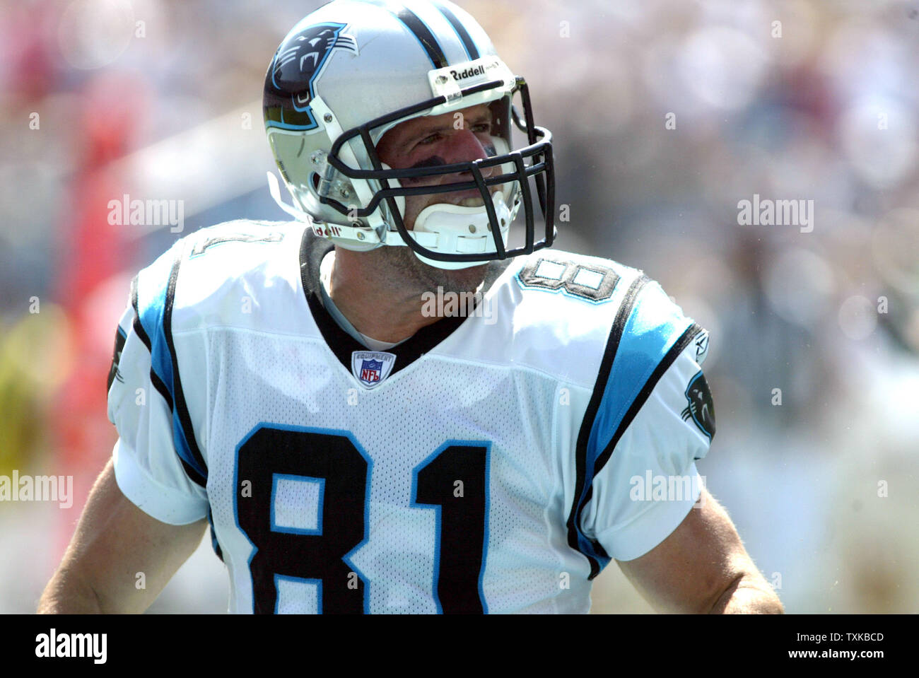 Carolina Panther wide receiver Ricky Proehl (81) reacts after a long ...
