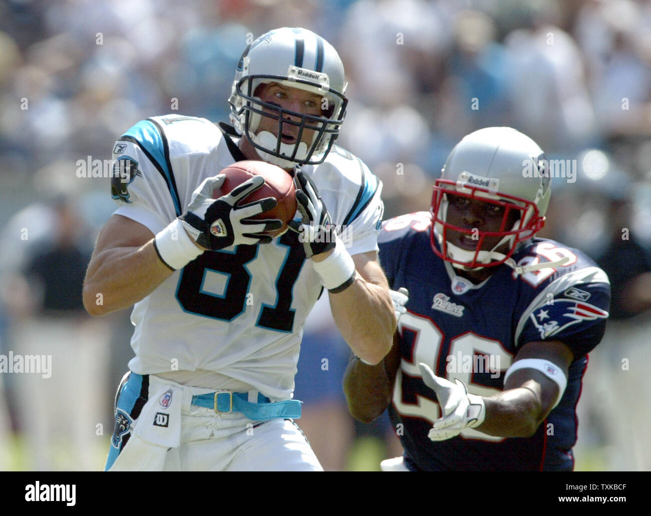 Panther pass hi-res stock photography and images - Alamy