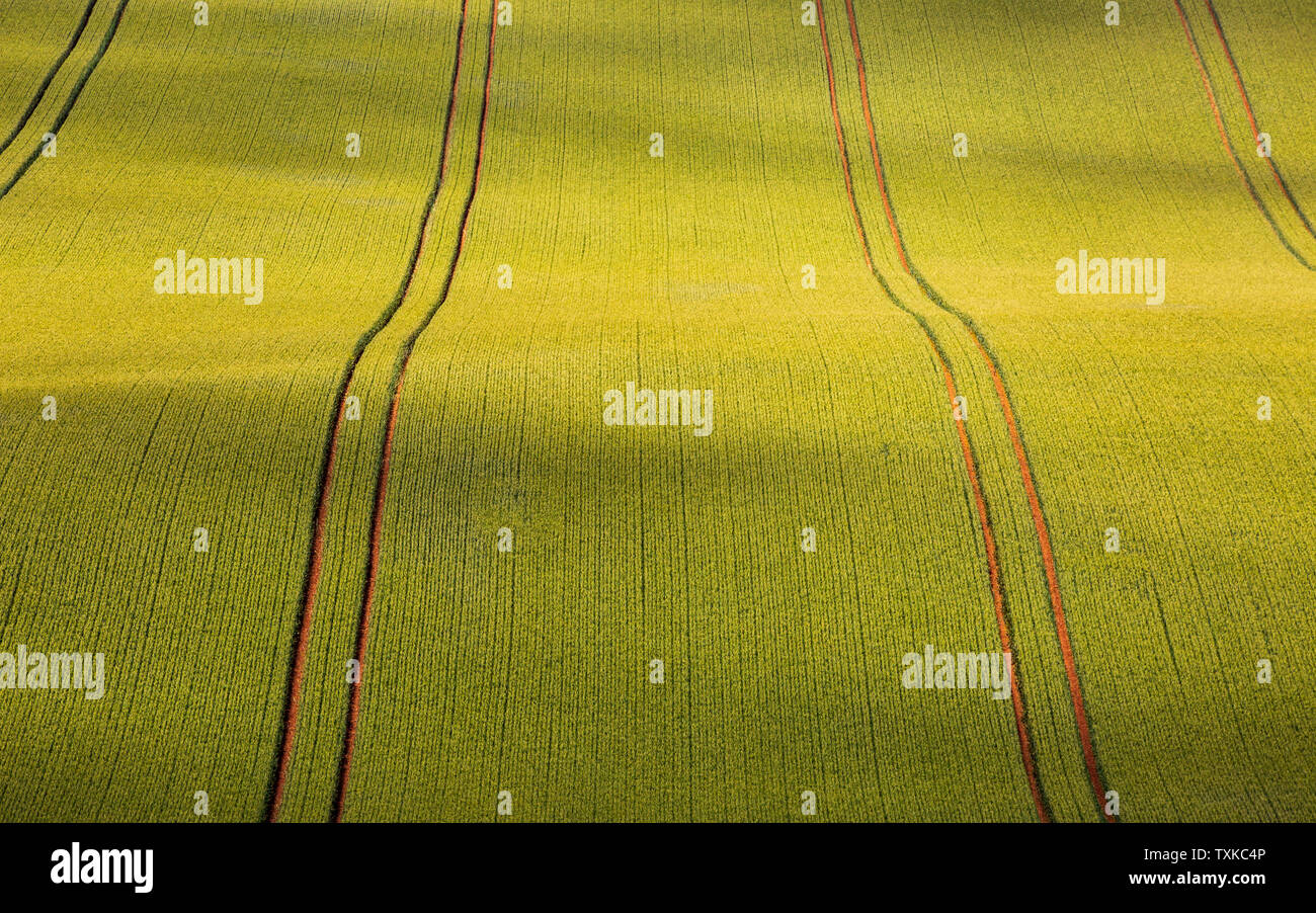 Field crop pattern hi-res stock photography and images - Alamy
