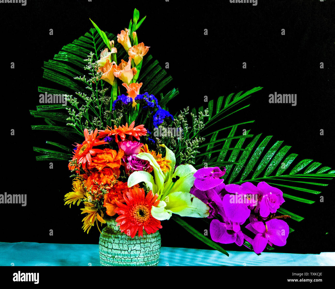 Arranging cards hi-res stock photography and images - Alamy