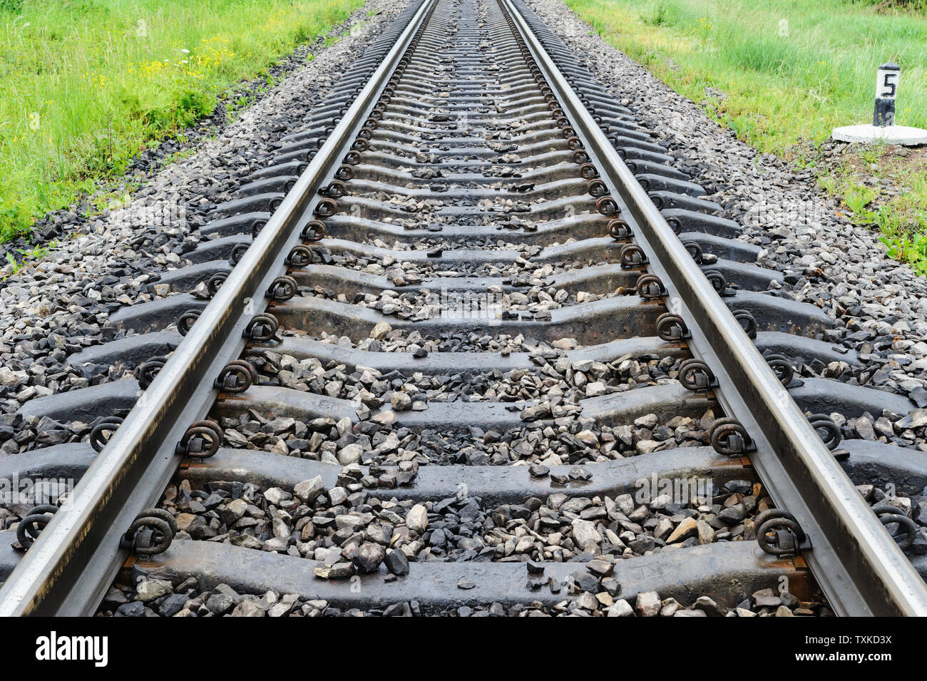 Railroad track into the distance. On both sides there is green grass ...
