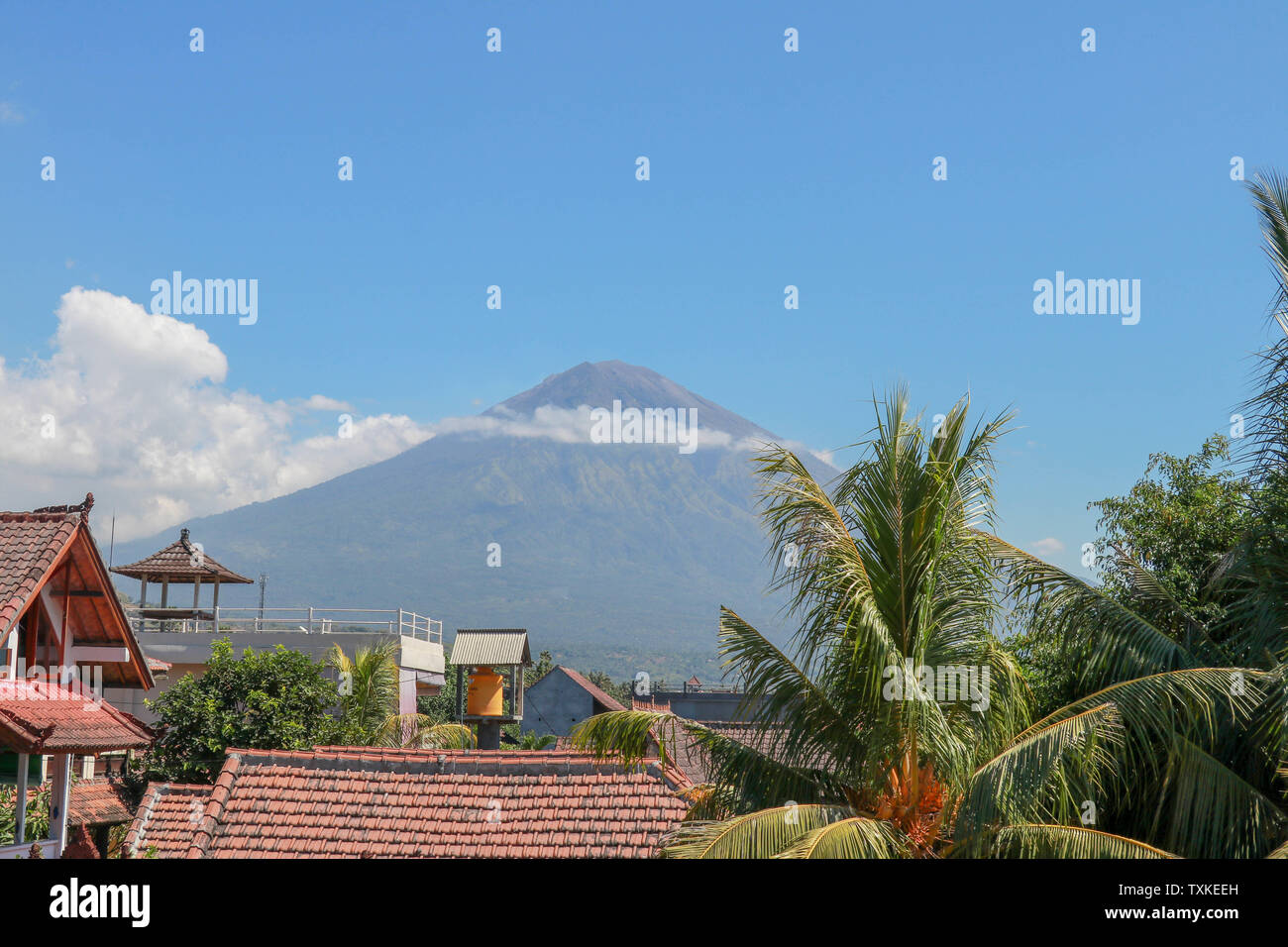 Tropical paradise with palm trees and majestic volcano in the ...