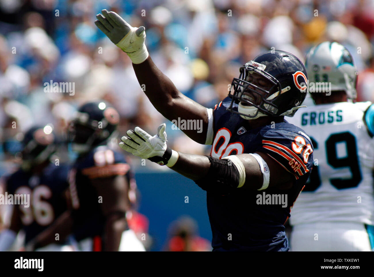 Chicago Bears defensive end Alex Brown (96) celebrates his sack of ...