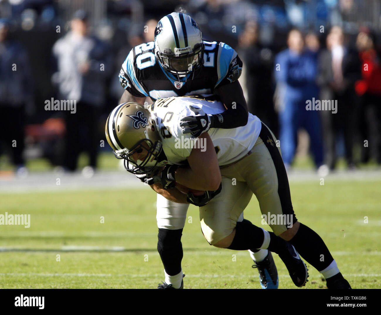 Chris gamble panthers hi-res stock photography and images - Alamy