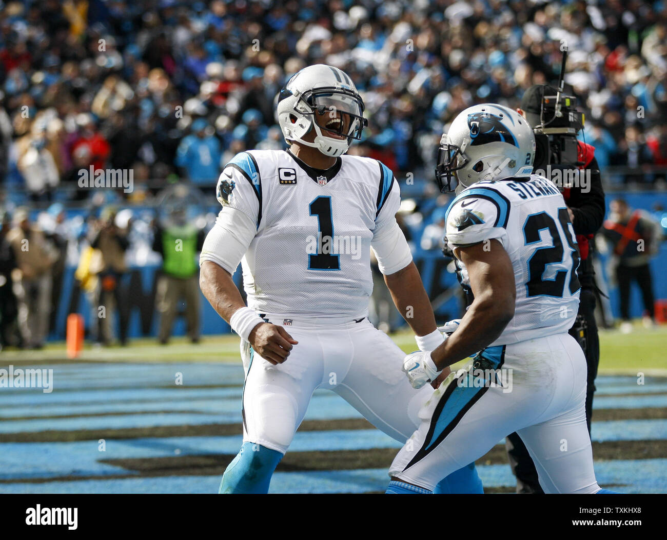 Carolina Panthers quarterback Cam Newton, left, celebrates with running ...