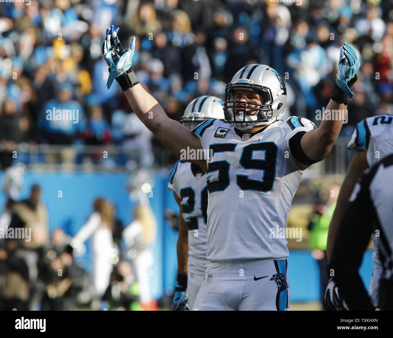 Carolina panthers nfc championship 2016 hi-res stock photography and ...