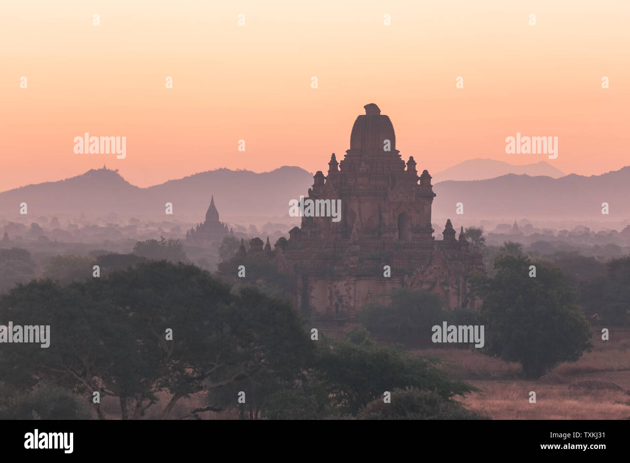 Pugan hi-res stock photography and images - Alamy