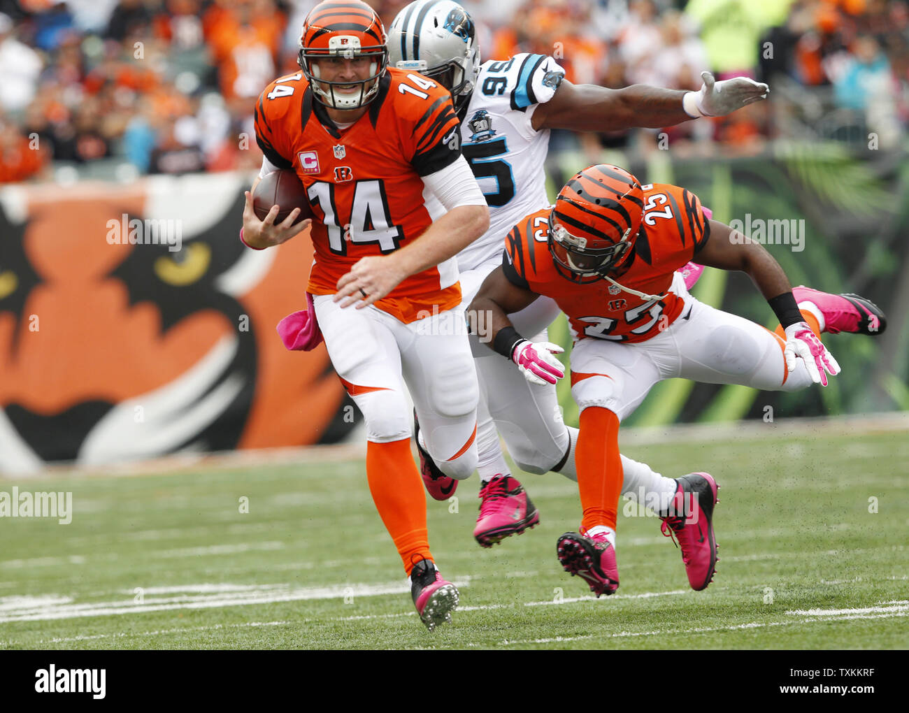 Charles johnson nfl hi-res stock photography and images - Alamy