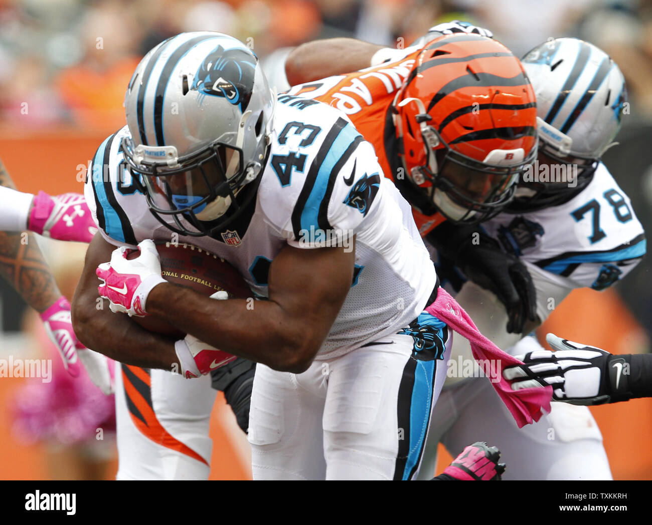 Fozzy whittaker hi-res stock photography and images - Alamy