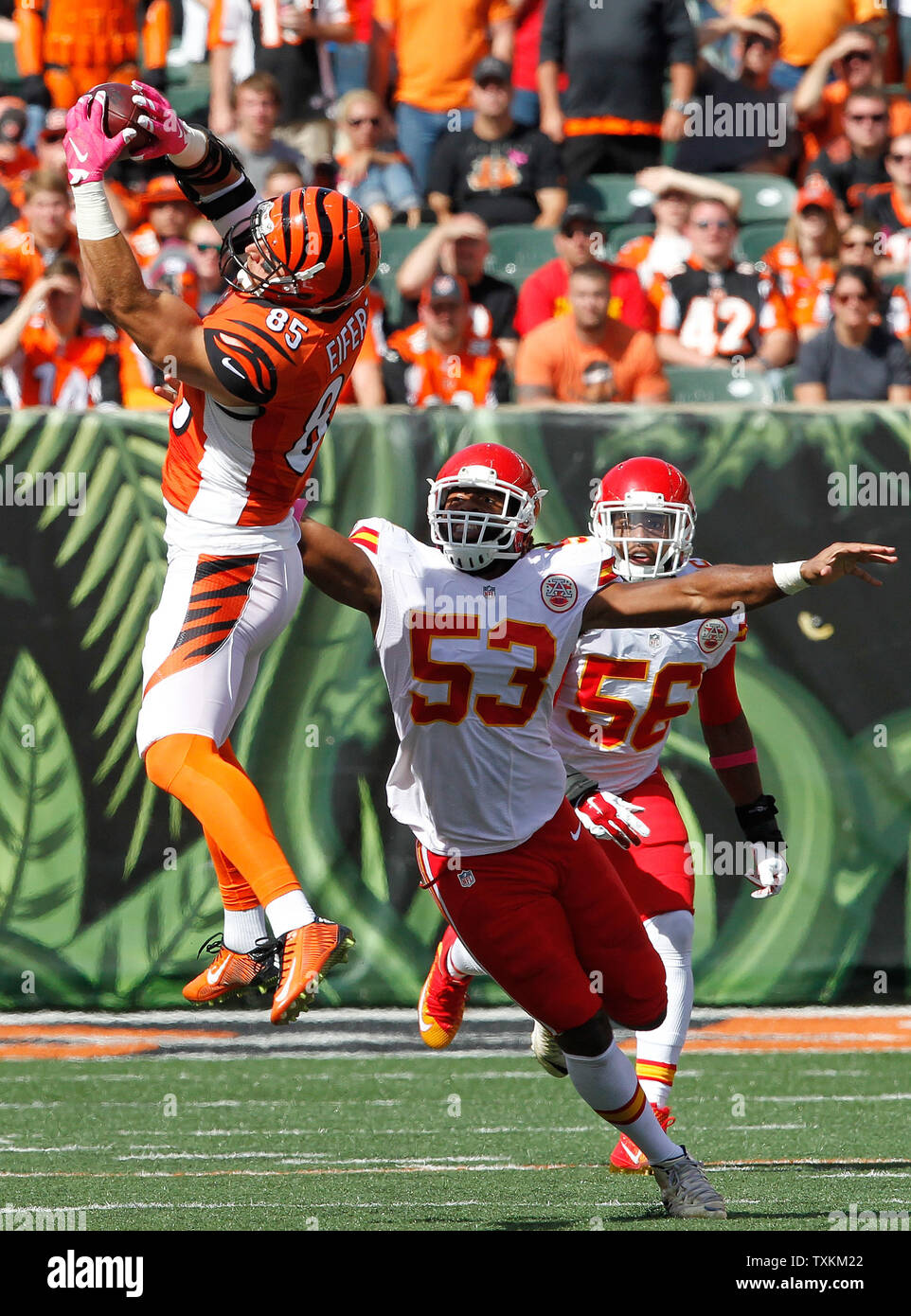 Cincinnati Bengals tight end Tyler Eifert (85) makes the catch under ...