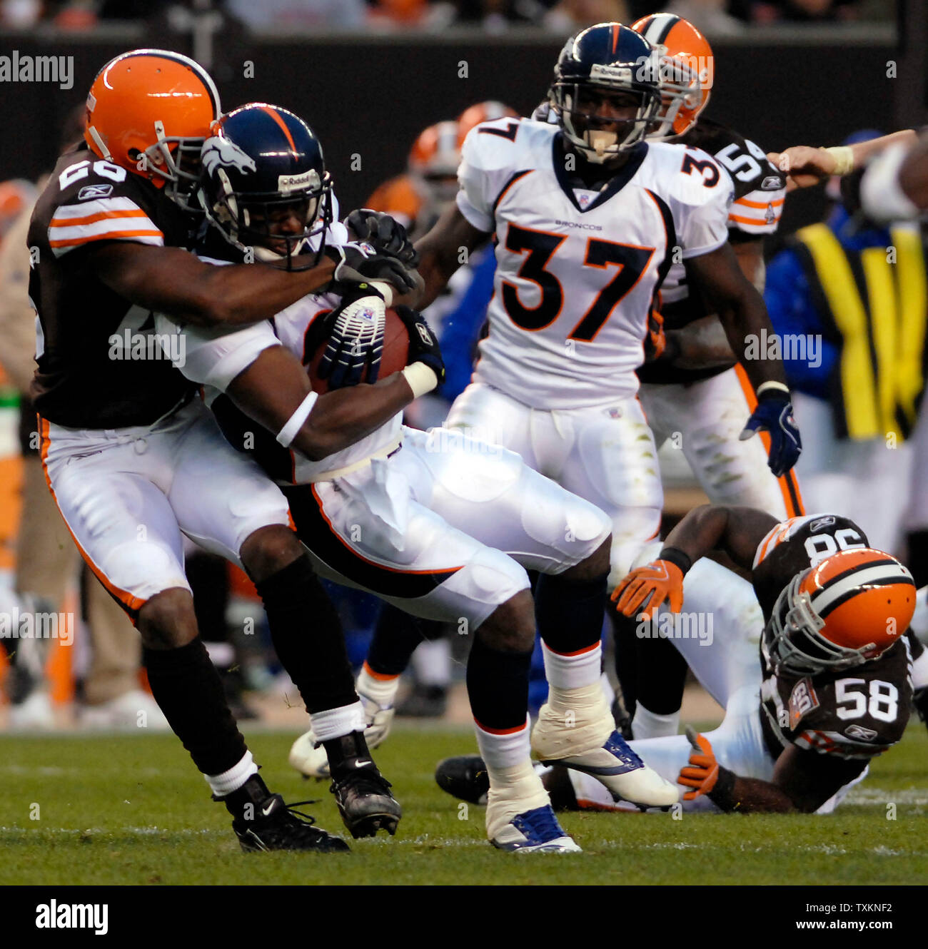 Back yeard hi-res stock photography and images - Alamy