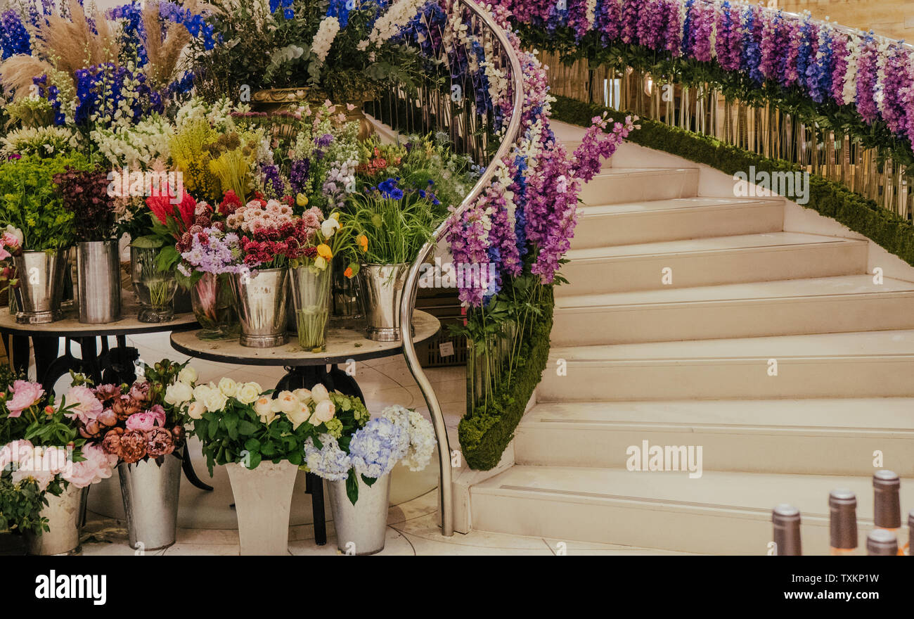Blue stairs flower flowers plant hi-res stock photography and images ...