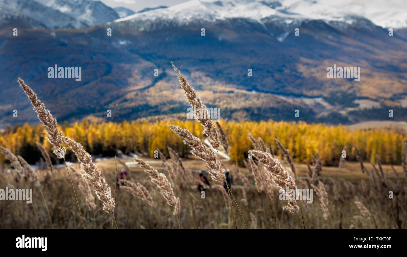 Autumn in Kanas Stock Photo - Alamy