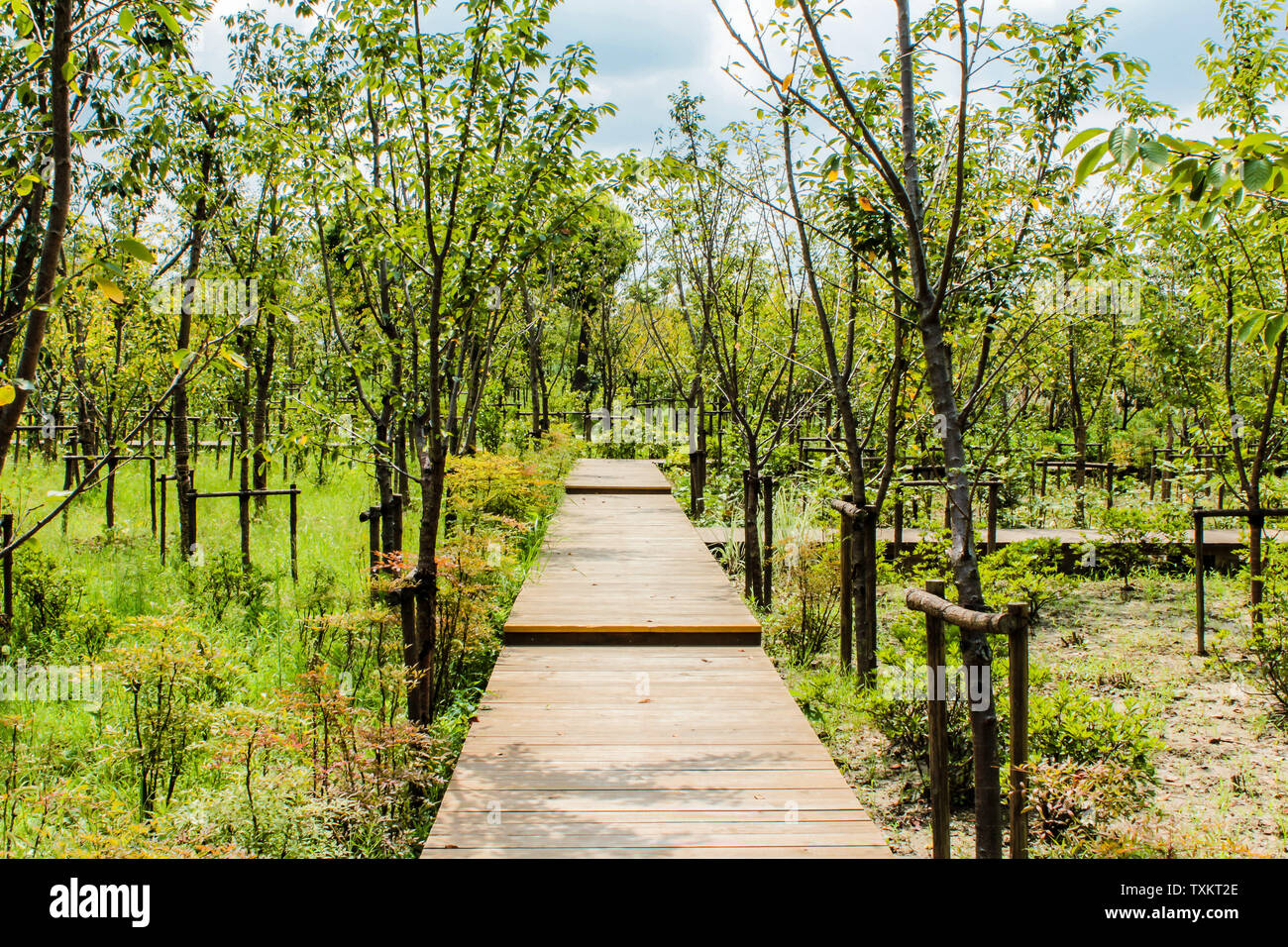 Scenery of Gucun Park in Shanghai Stock Photo - Alamy