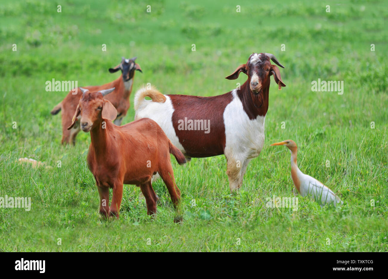 Youre lucky hi-res stock photography and images - Alamy