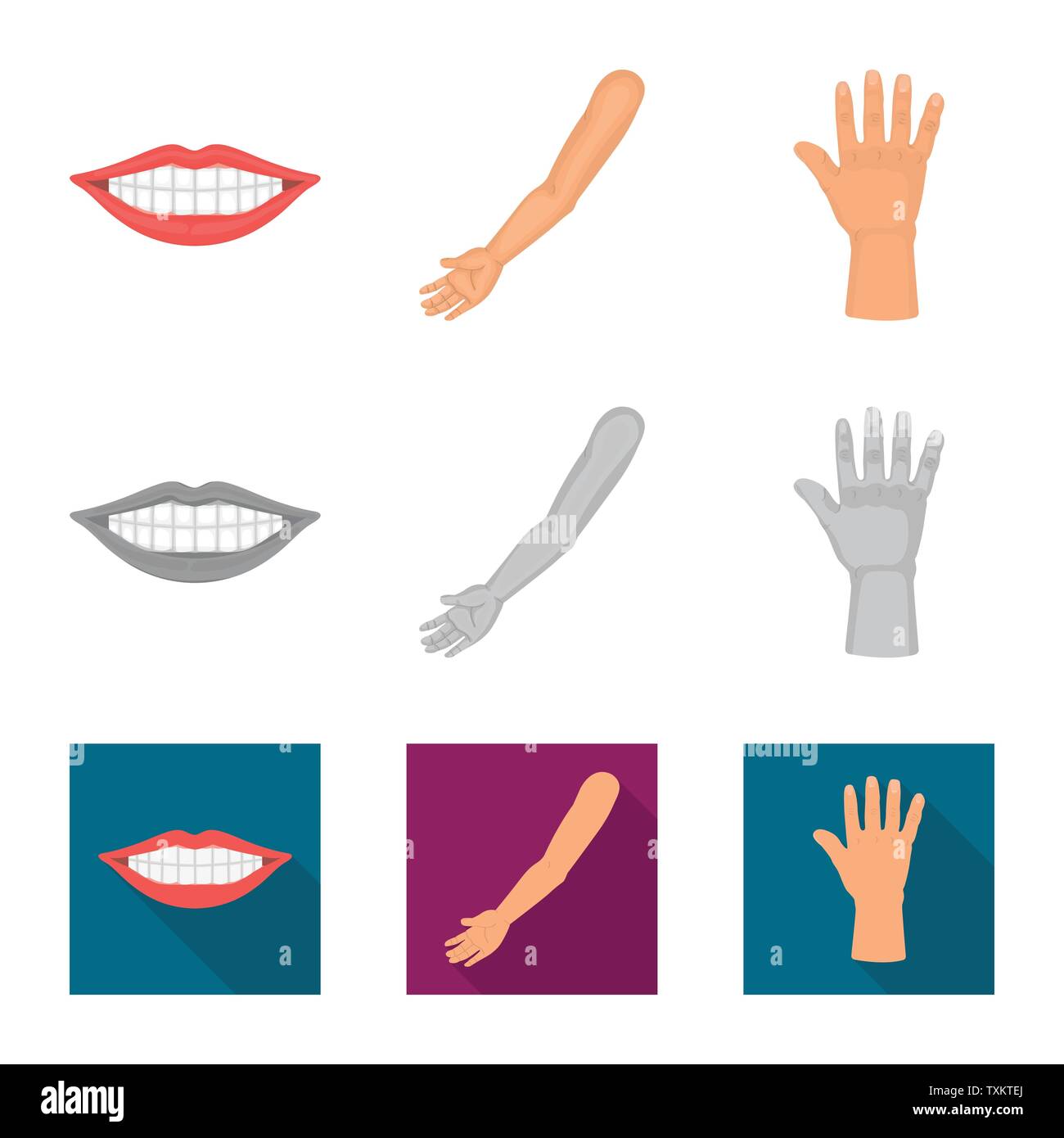 Vector design of body and part symbol. Set of body and anatomy stock ...
