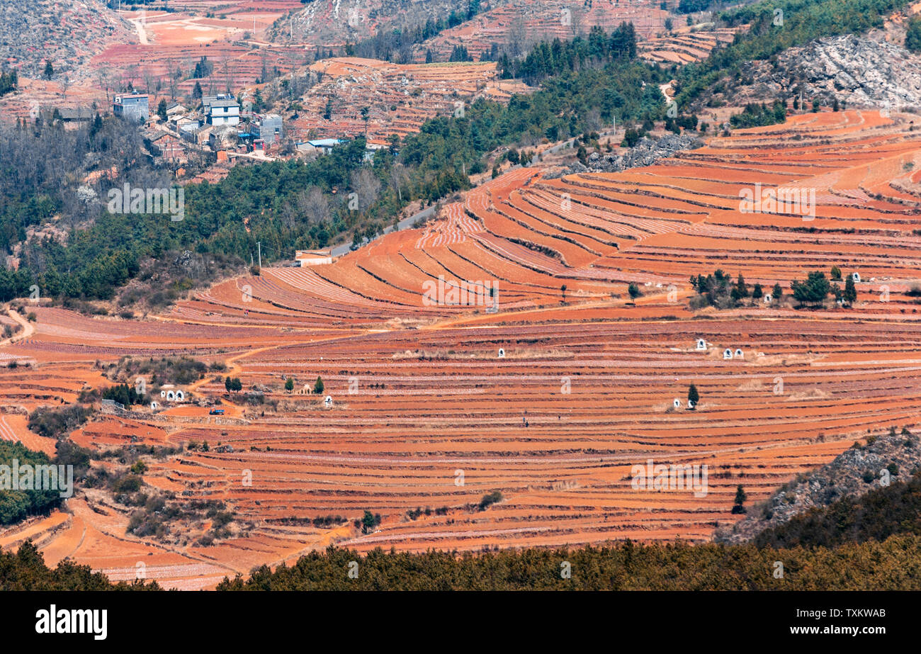 The terraces of the Yungui Plateau Stock Photo - Alamy
