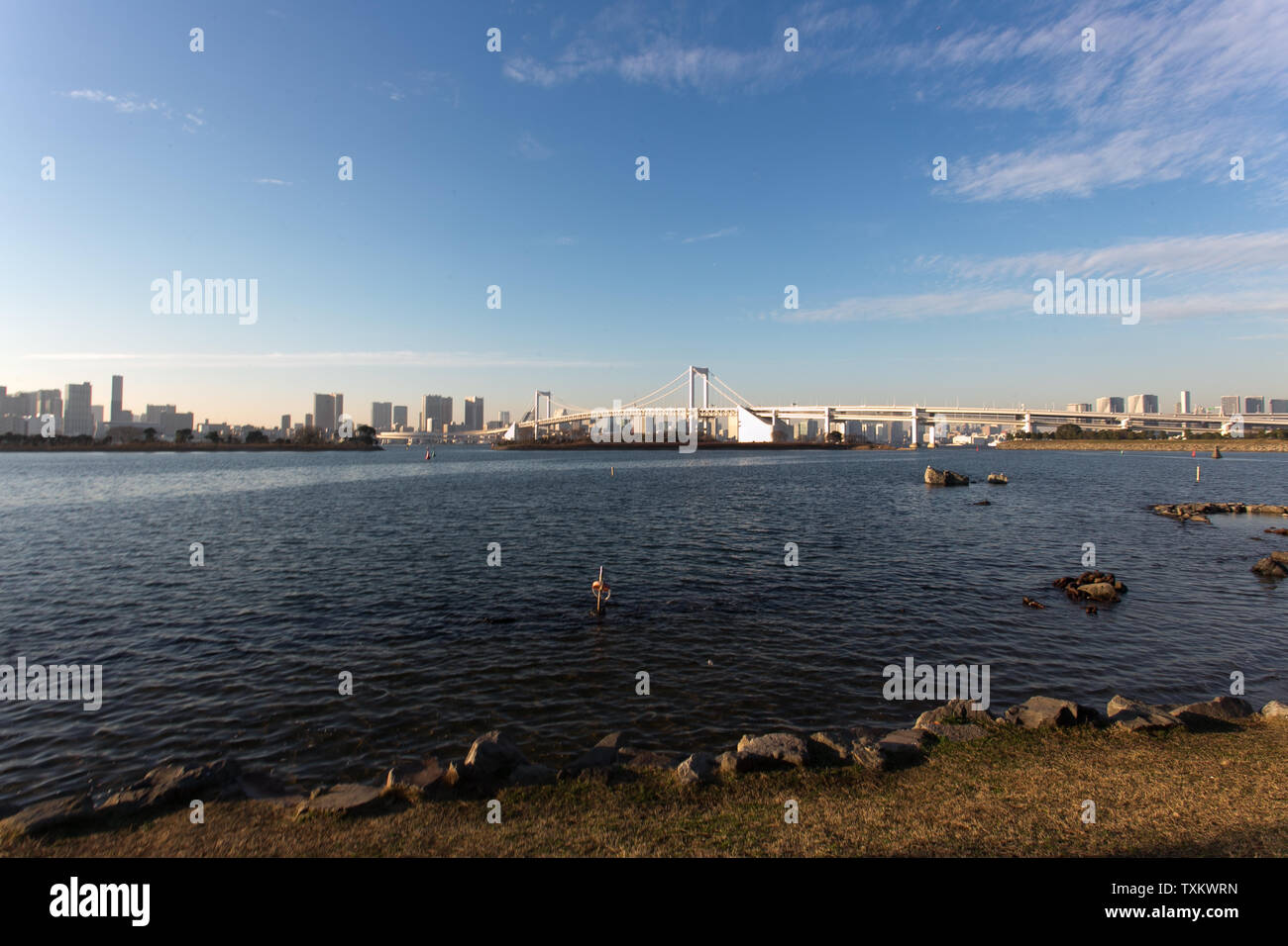Rivers in tokyo hi-res stock photography and images - Alamy
