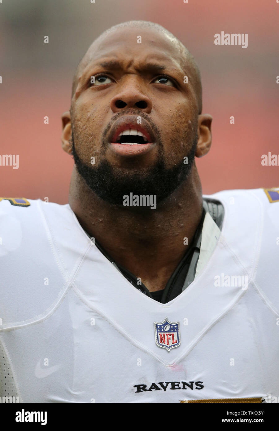Baltimore Ravens Terrell Suggs looks on at First Energy Stadium in ...