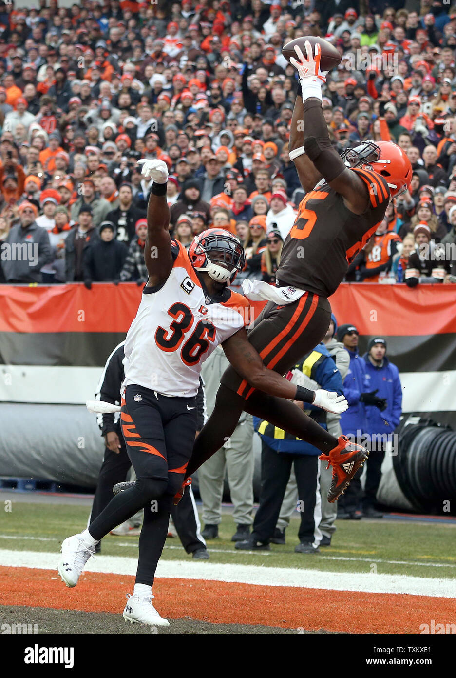 Shawn williams hi-res stock photography and images - Alamy