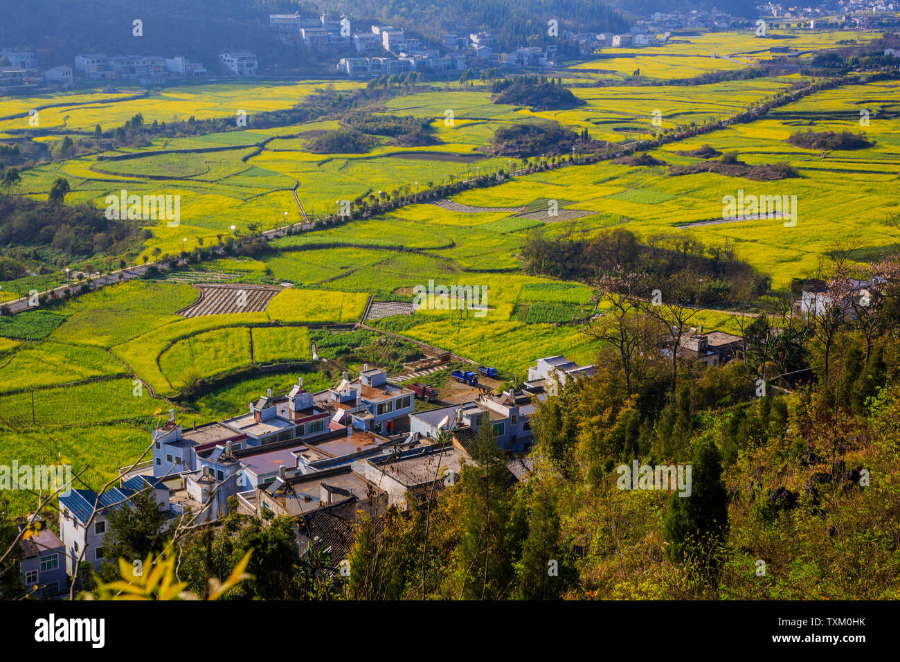 Spring color of Wanfeng forest in Xingyi, Guizhou Stock Photo - Alamy