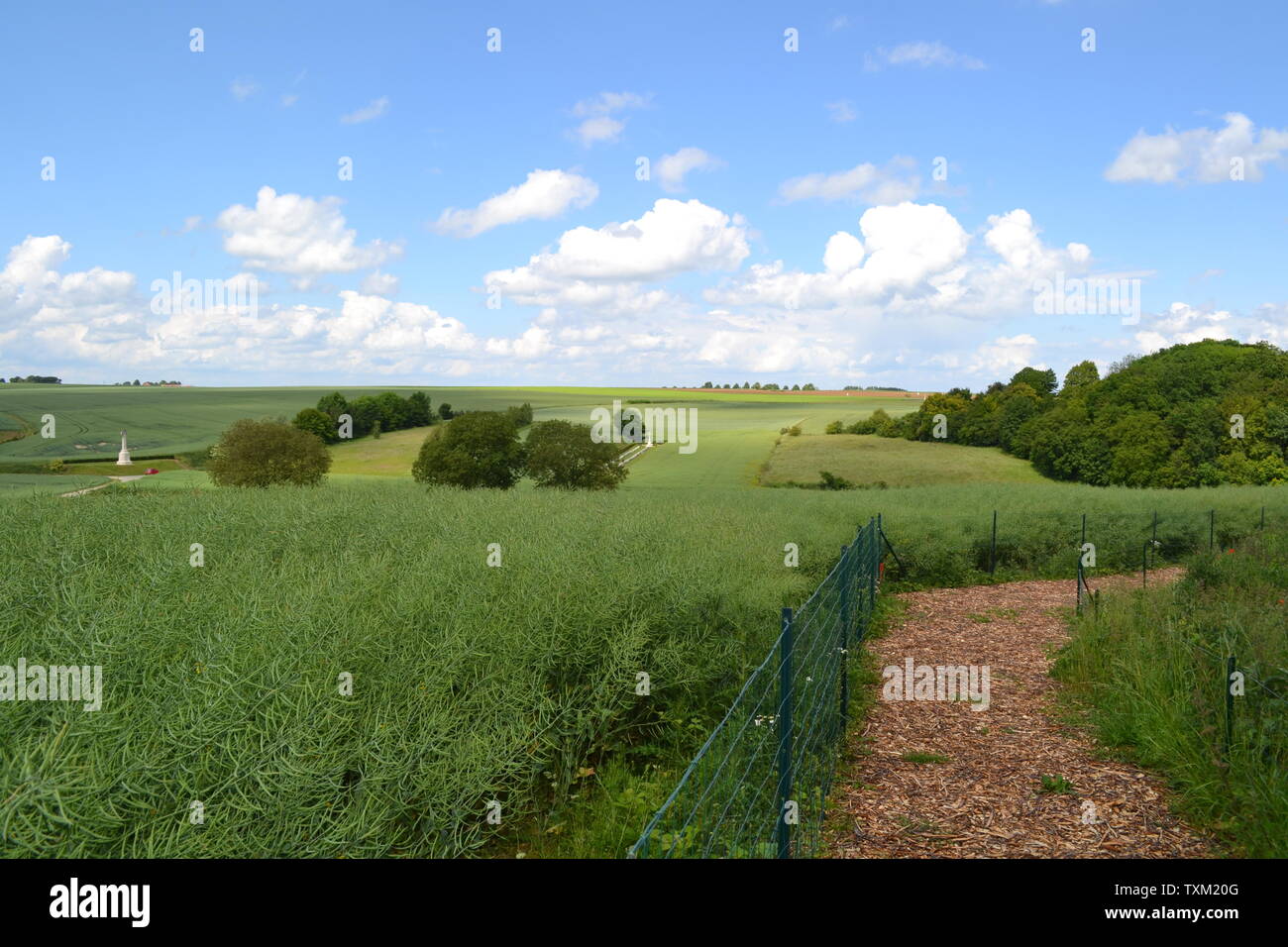 Batalla somme hi-res stock photography and images - Alamy