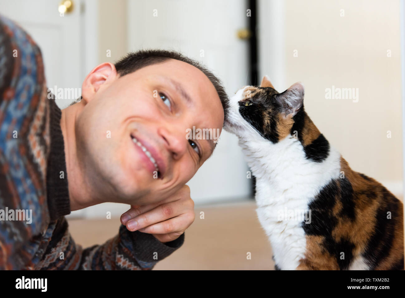 Young happy smiling man owner bonding with calico cat sniffing head ...