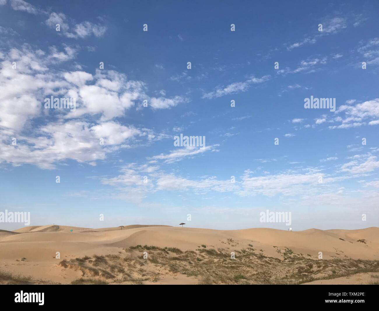 A desert, a vast expanse of yellow sand, a blue sky, endless, giving ...