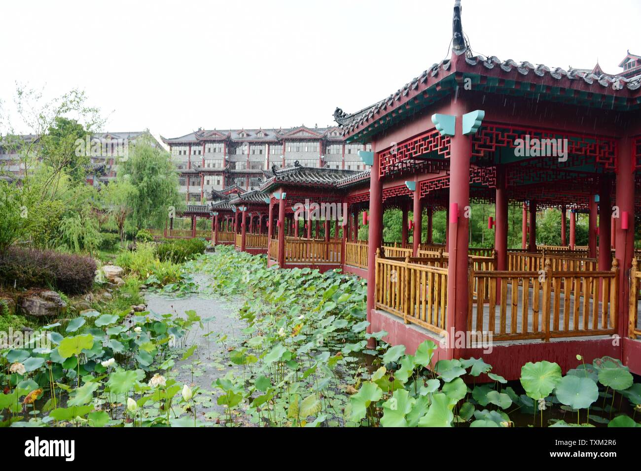 Antique architecture and lotus pavilion lotus Stock Photo - Alamy
