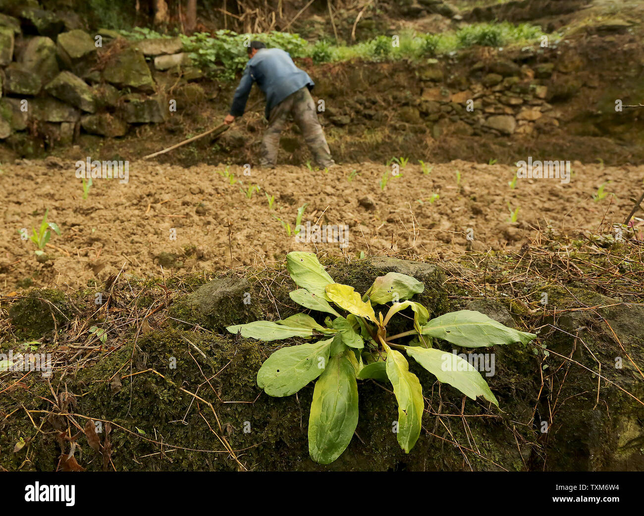 Tills land hi-res stock photography and images - Alamy