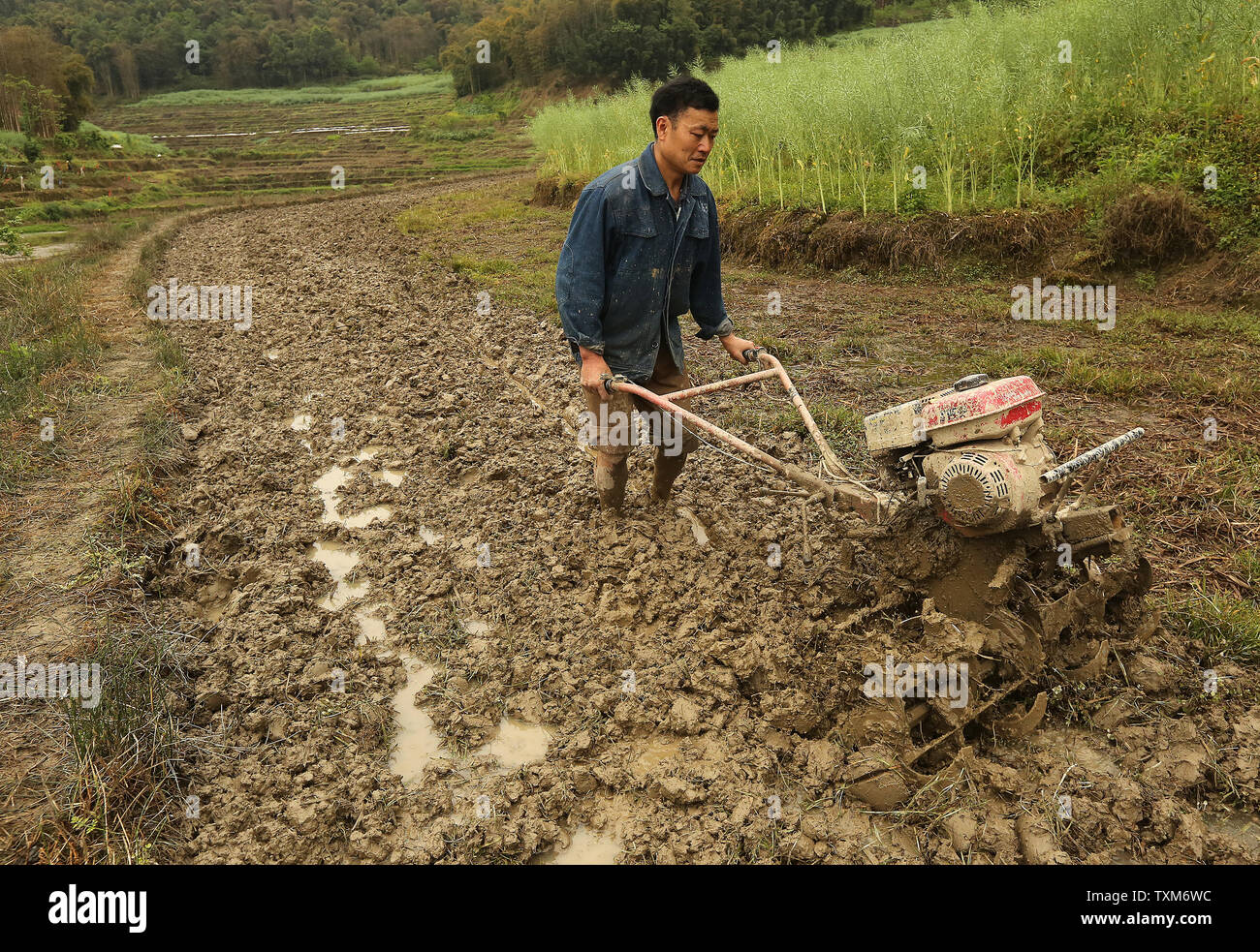 A Chinese farmer tills a rice field in a remote village in Jiayang, a ...