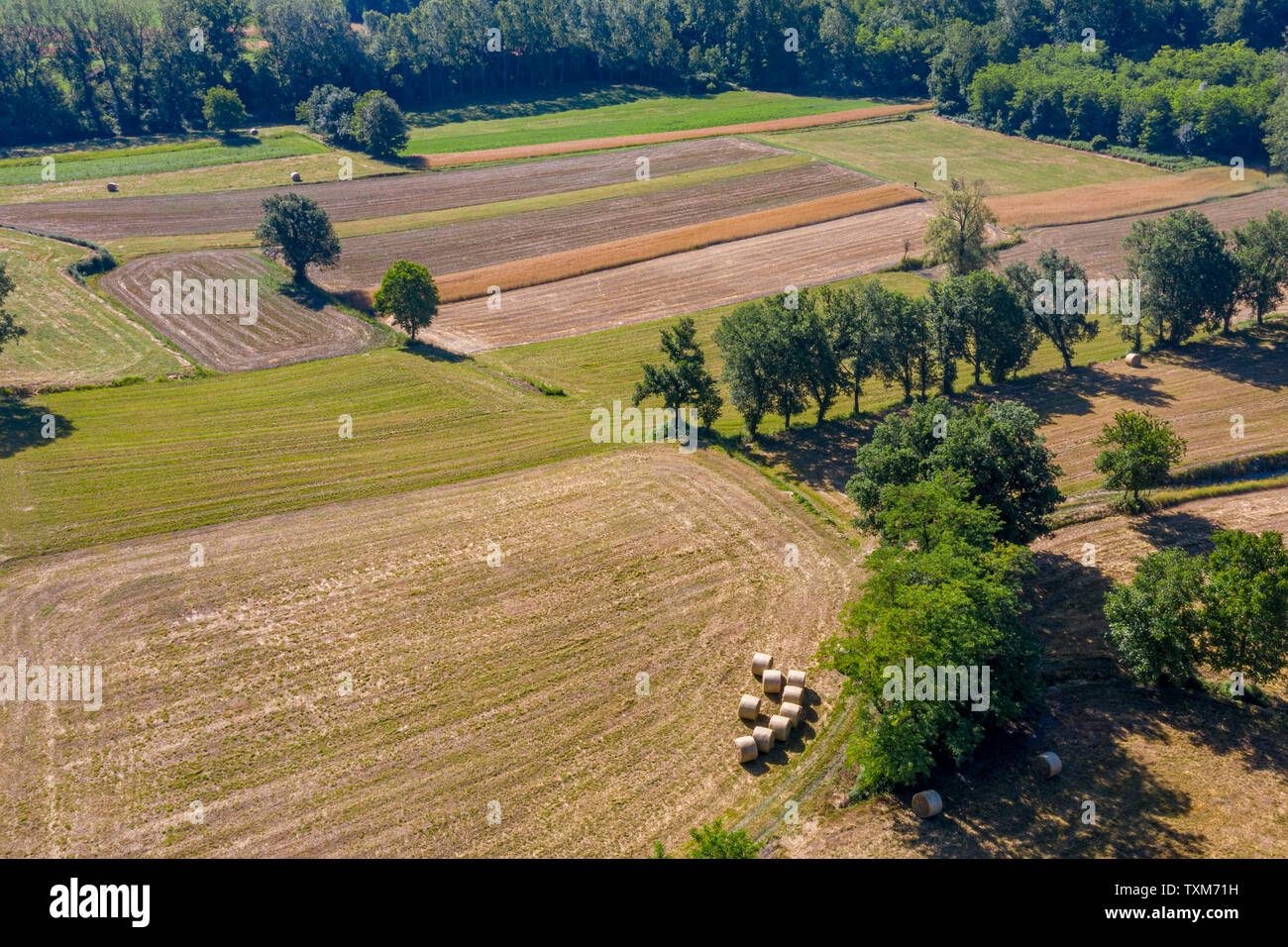 mature wheat farmed fields aerial drone panorama landscape Stock Photo ...