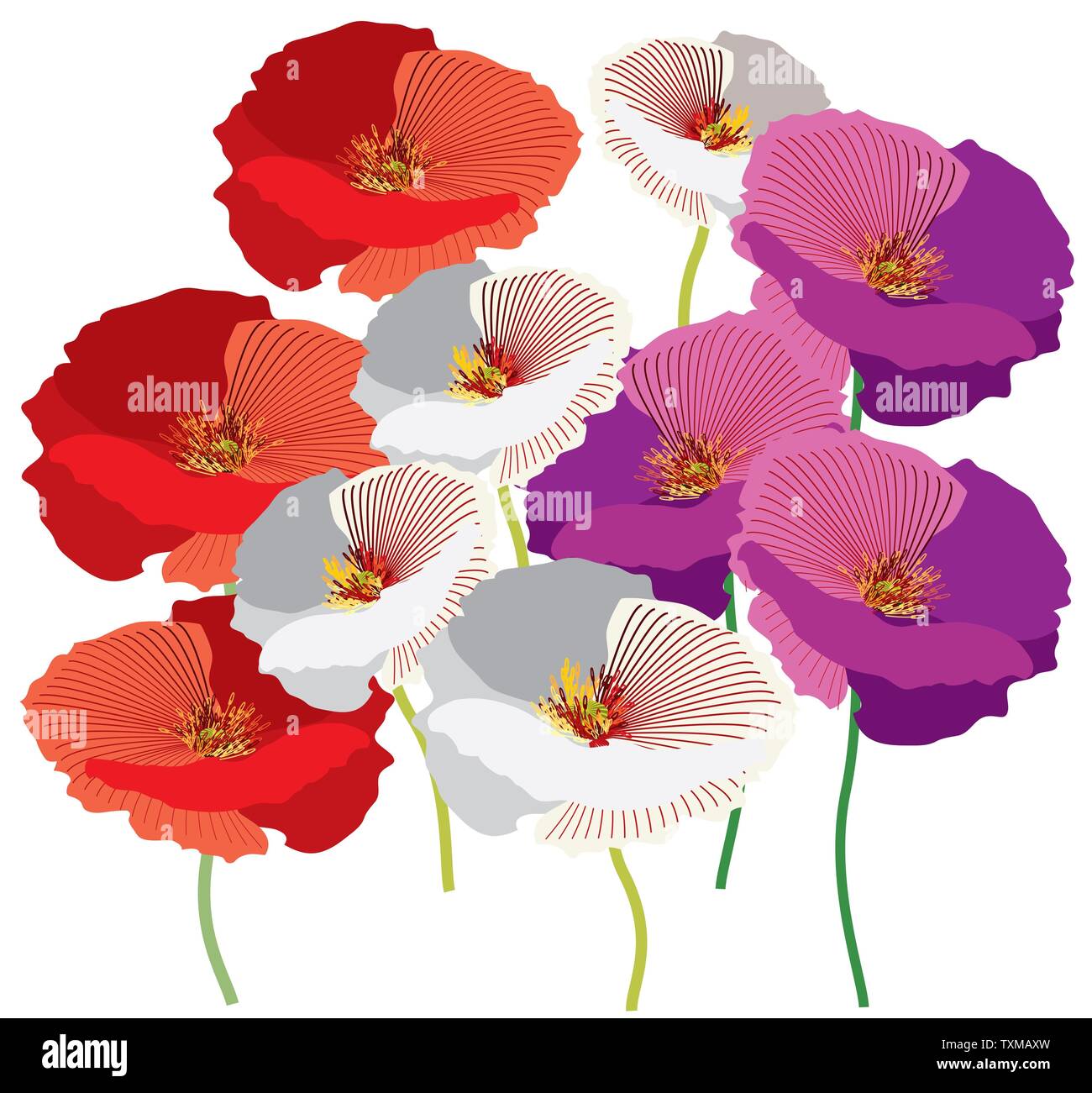Beautiful abstract poopies in different colors Stock Photo - Alamy