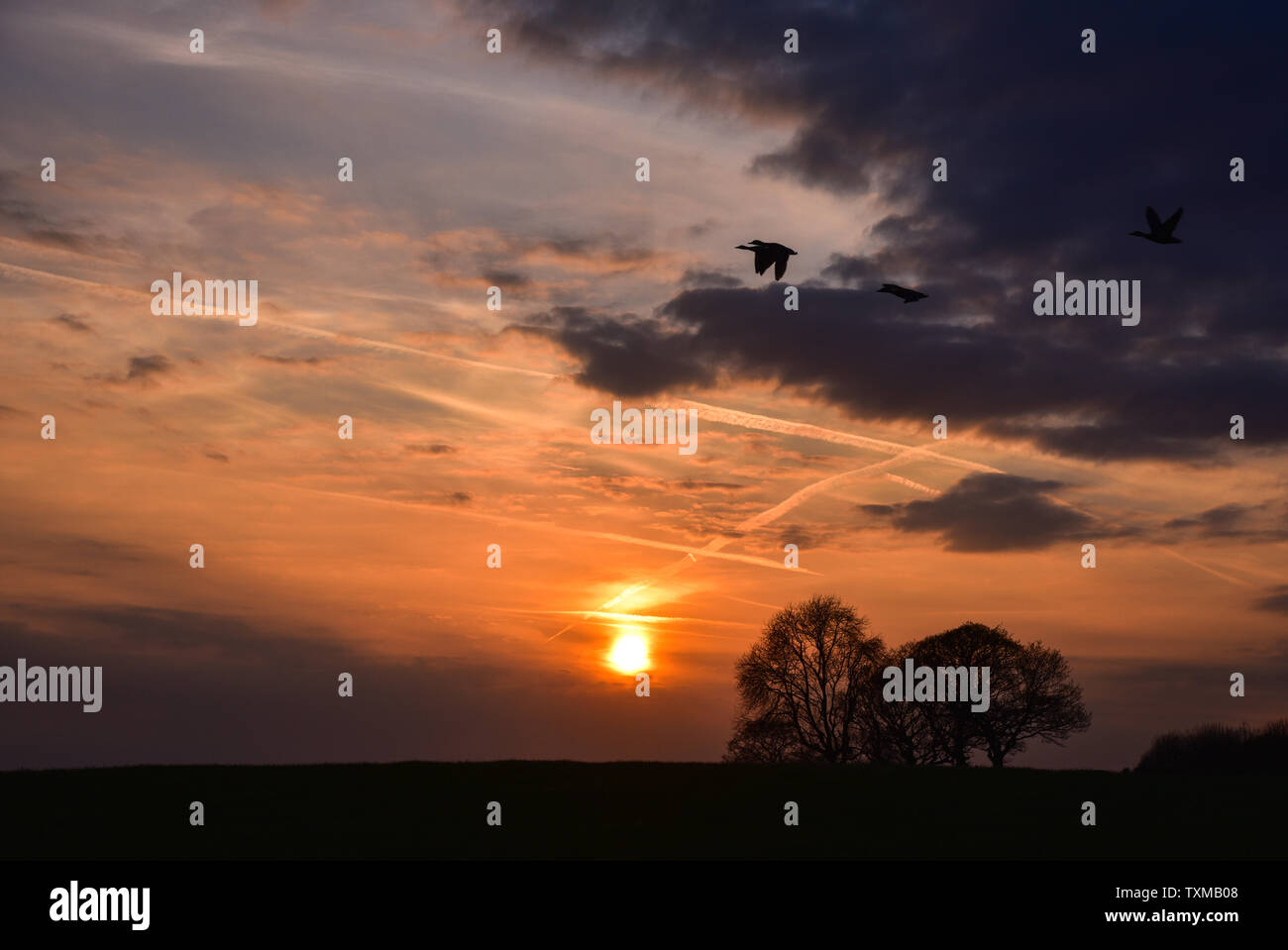 Dark clouds looming on the horizon hi-res stock photography and images ...