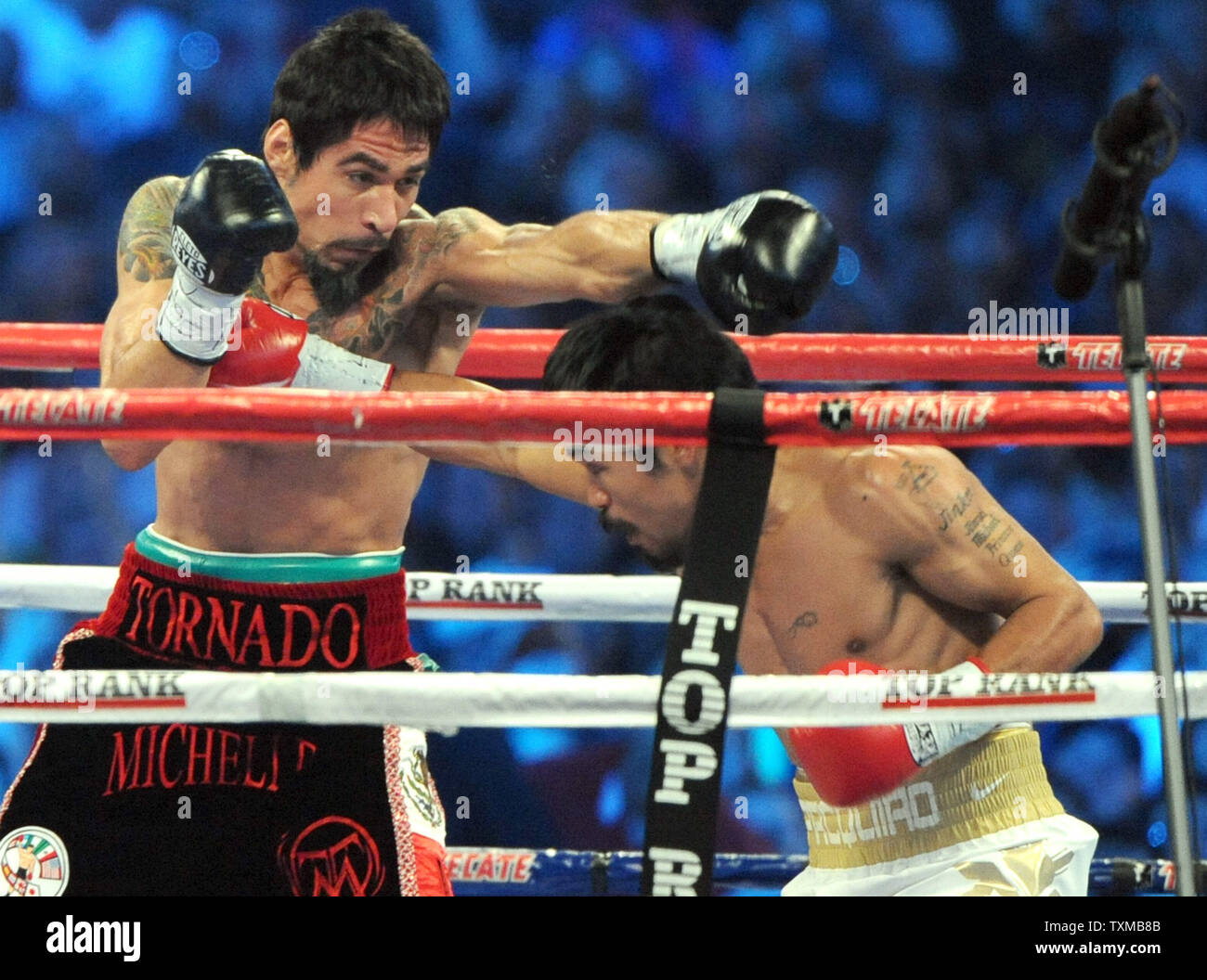 Margarito High Resolution Stock Photography and Images - Alamy