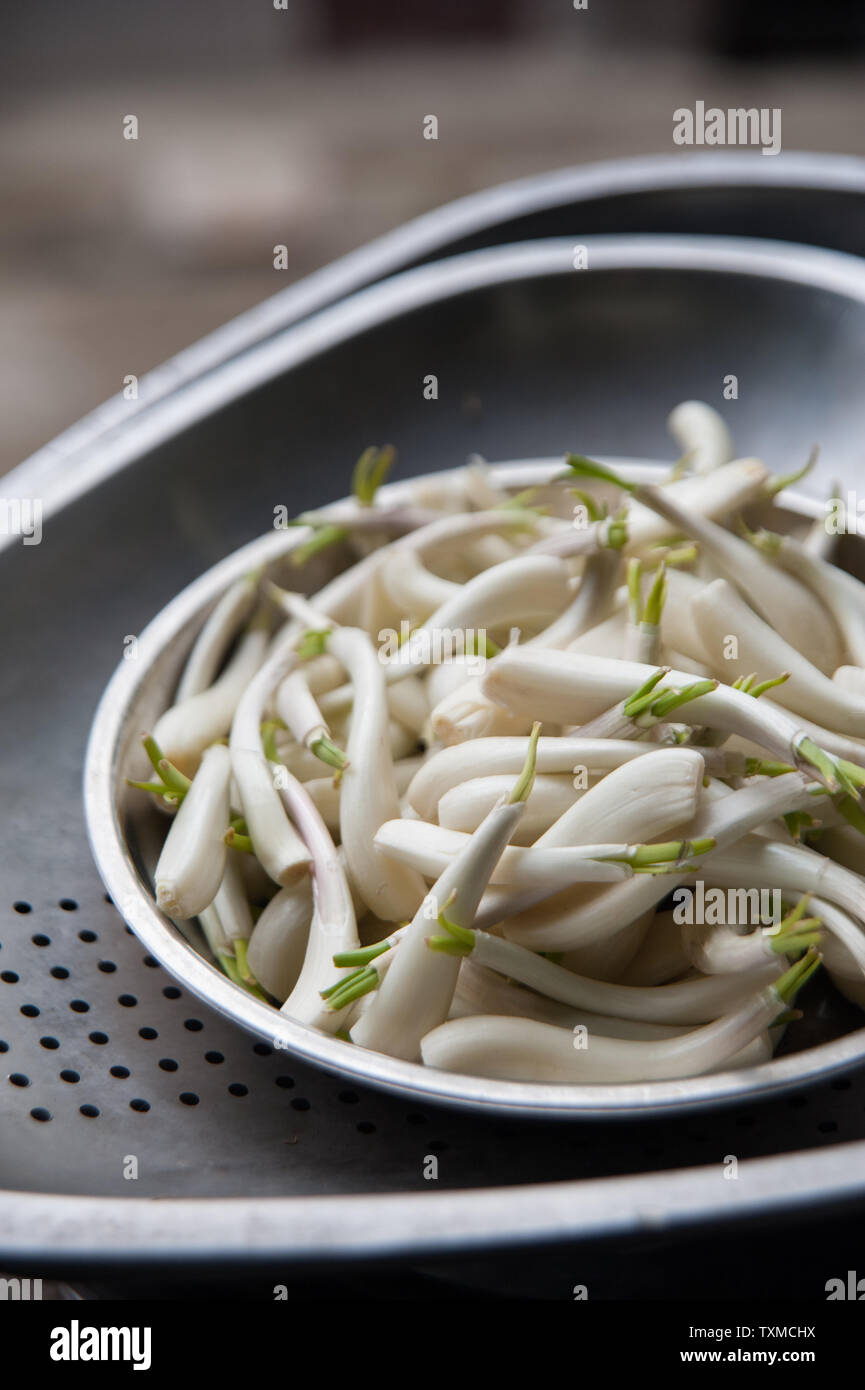 Garlic bolts hi-res stock photography and images - Alamy