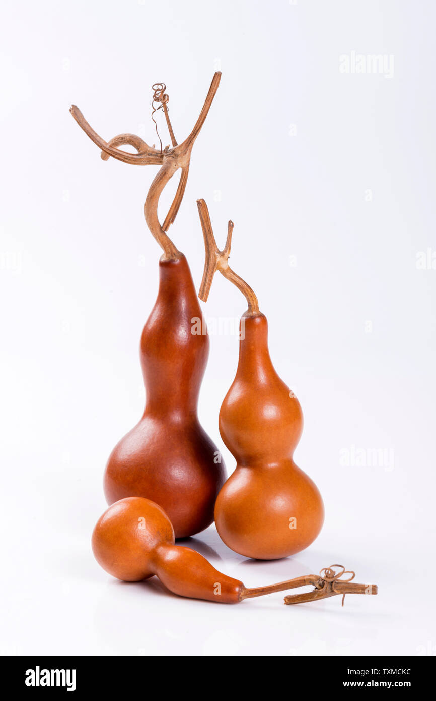 To play with gourd and gourd Stock Photo - Alamy
