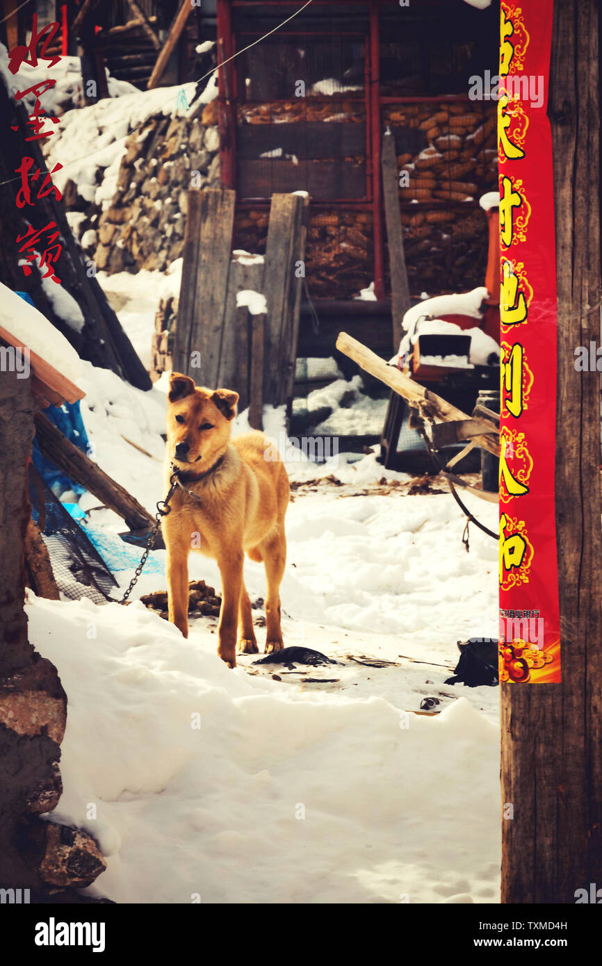 Songling Snow Village, located in Linjiang City, Jilin Province Stock ...