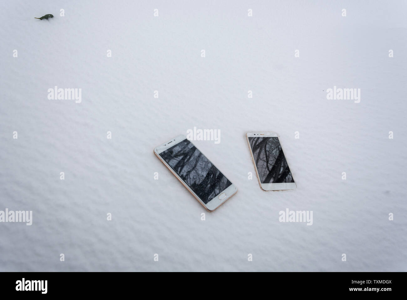 Nanjing Purple Jinshan heavy snow winter snow scenery Stock Photo - Alamy