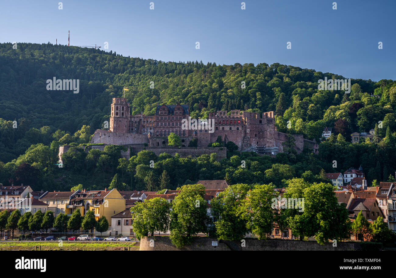 view on Heidelberg castle ruins and river neckar in front, germany ...