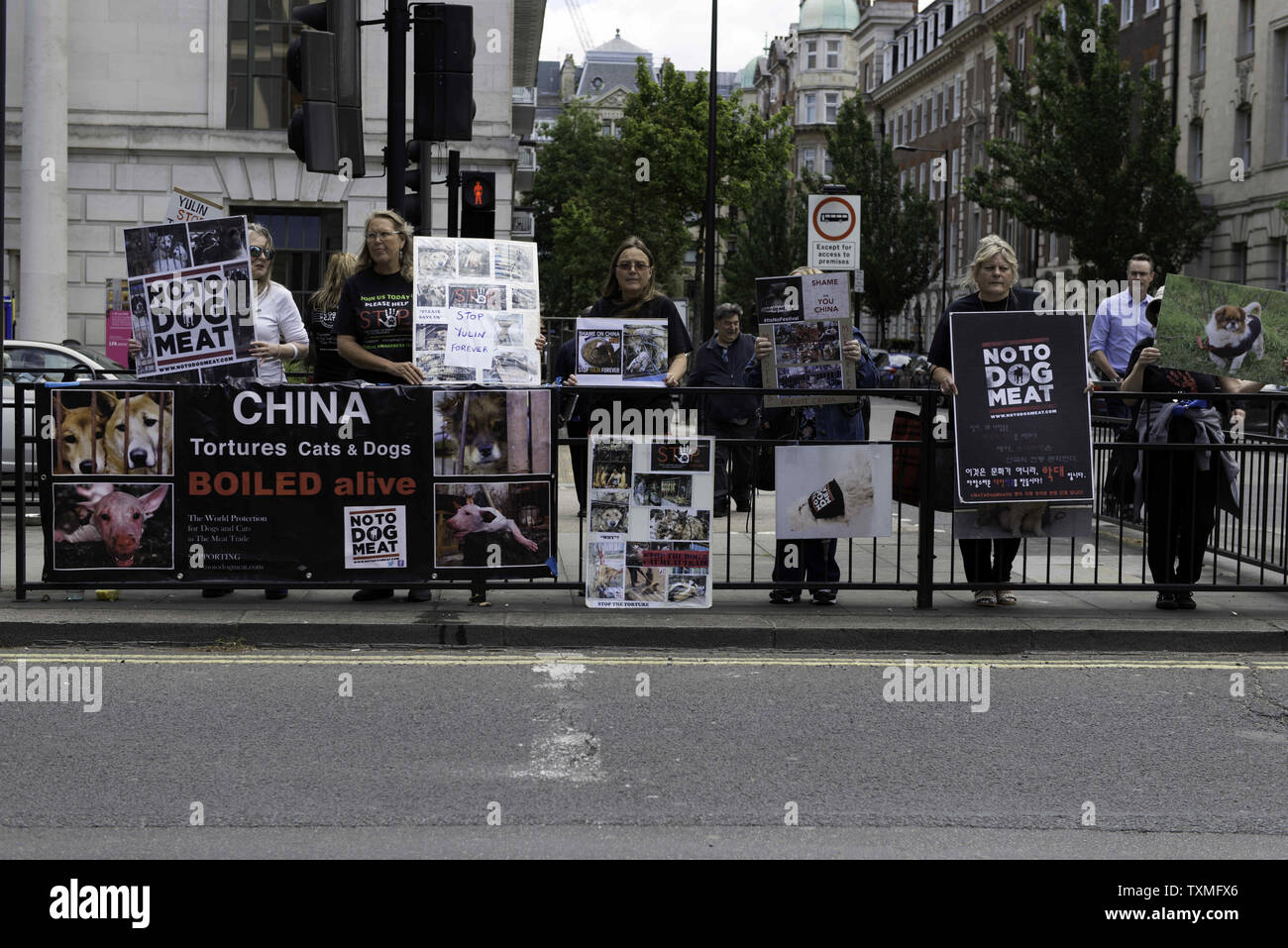 Where Is The Yulin Dog Festival Held