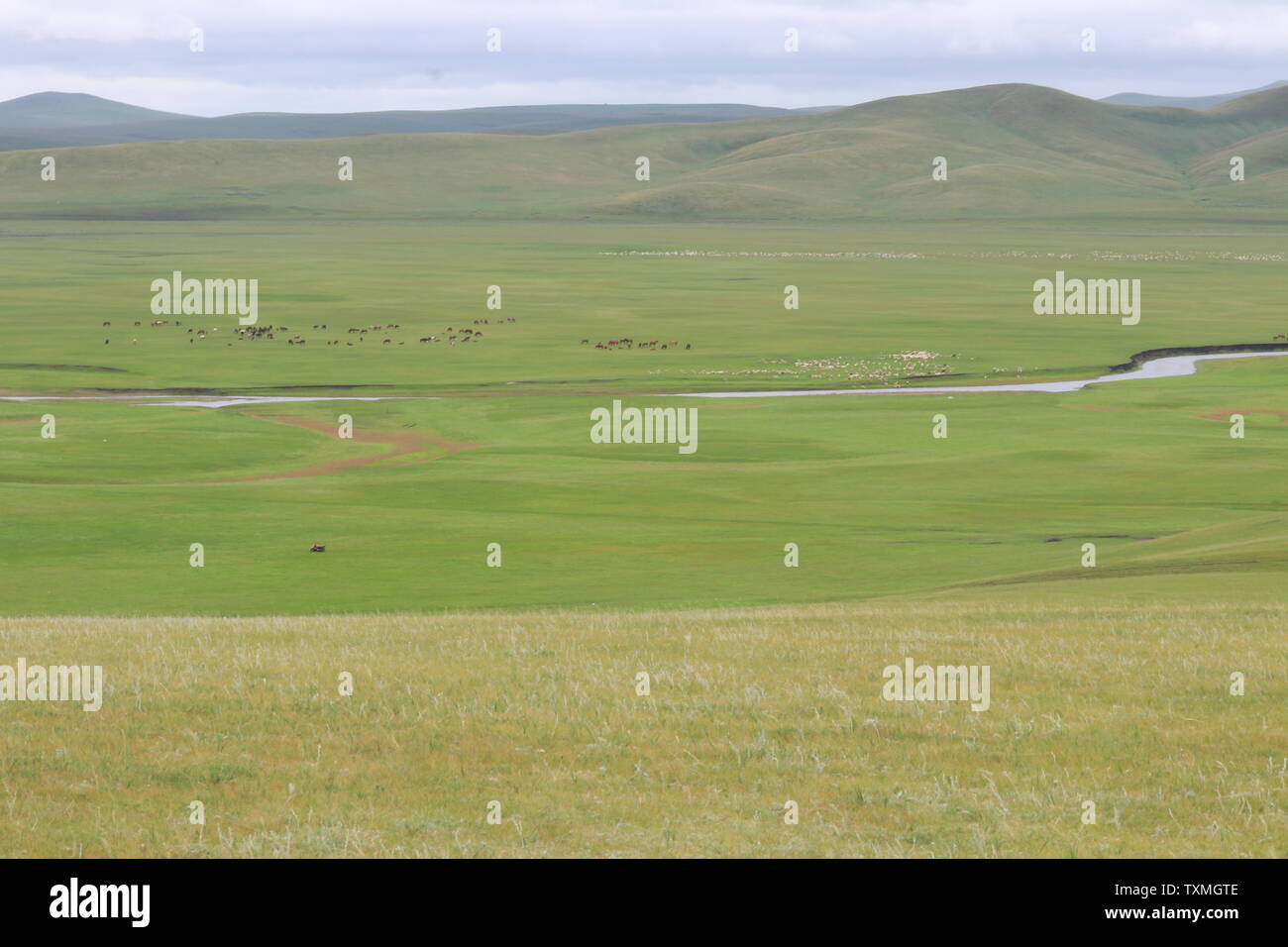 Erguna river erguna river wetland hi-res stock photography and images ...