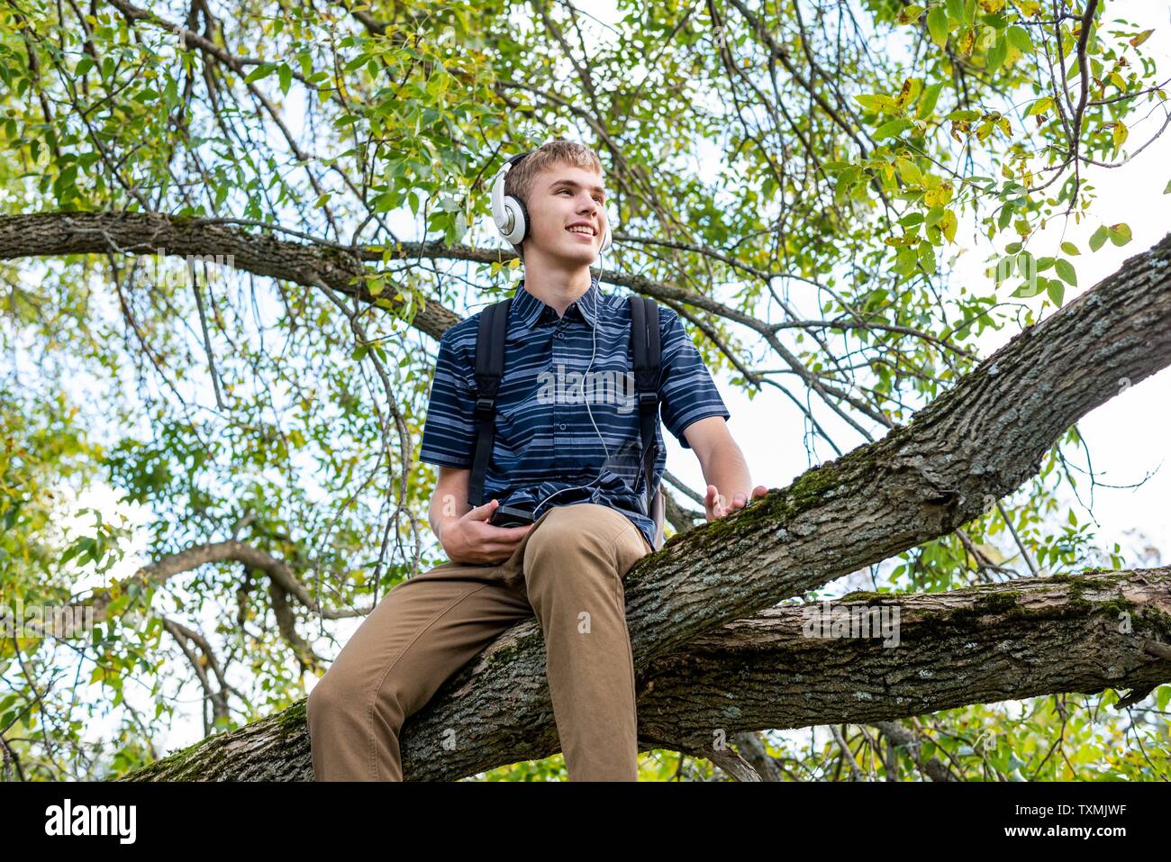 Happy student sitting on a tree branch while listening to music through ...